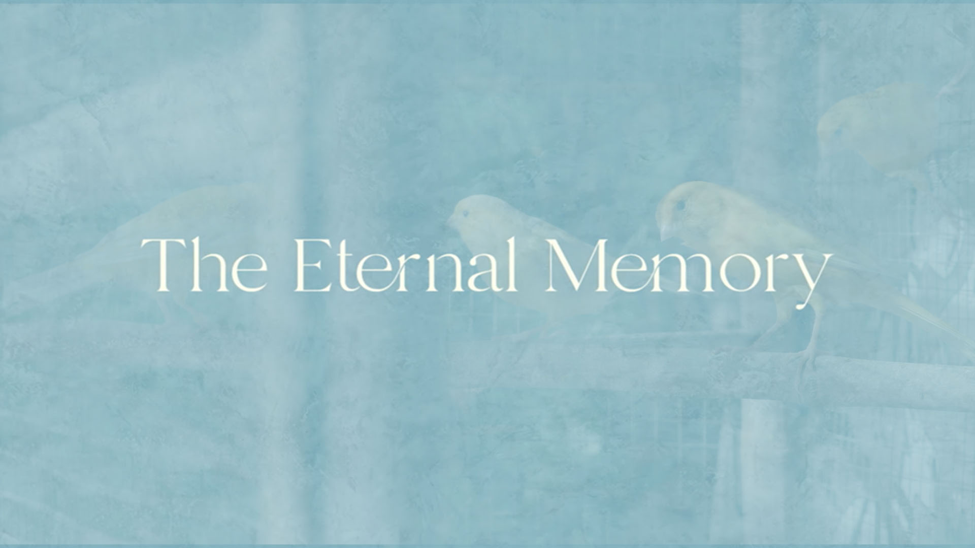 معرفی مستند The Eternal Memory | سایه ابدی نسیان - زومجی